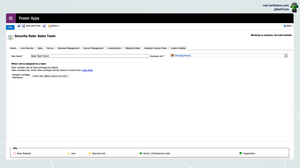 Solutionise Security Roles the Right Way - Nati Turtledove
