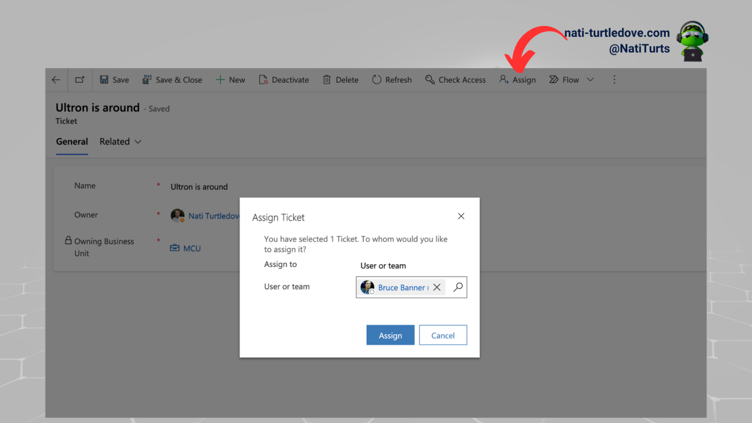 Record Assignment: A Game of Who Owns What - Nati Turtledove
